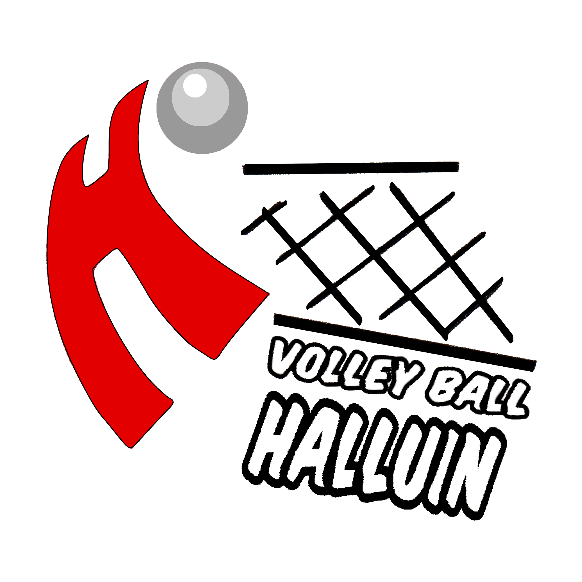 Avignon Volley-Ball